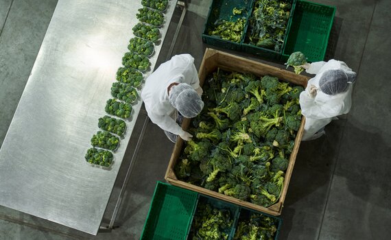 High Quality Strapping Machines & Strapping Material | MOSCA